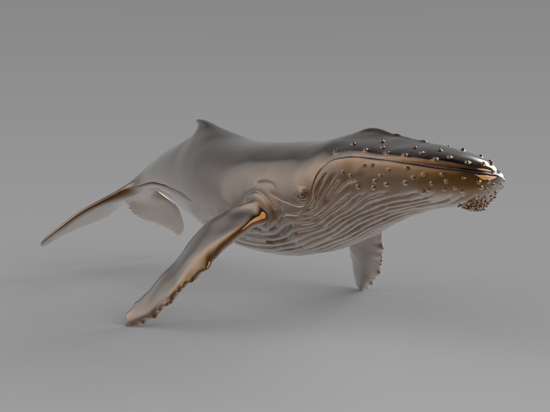 STL file Whale 🐳・3D printer design to download・Cults