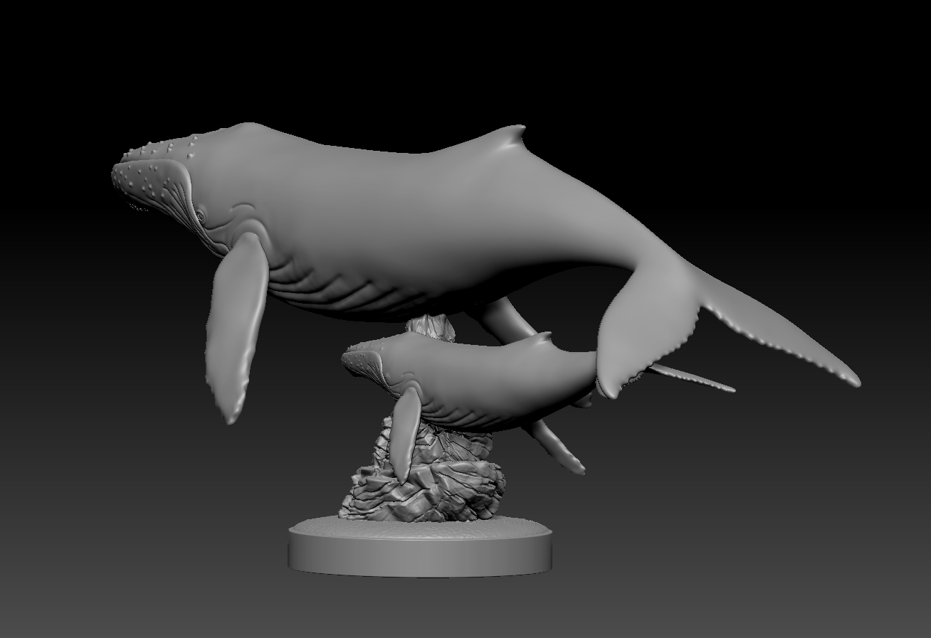 STL file Whales・Model to download and 3D print・Cults