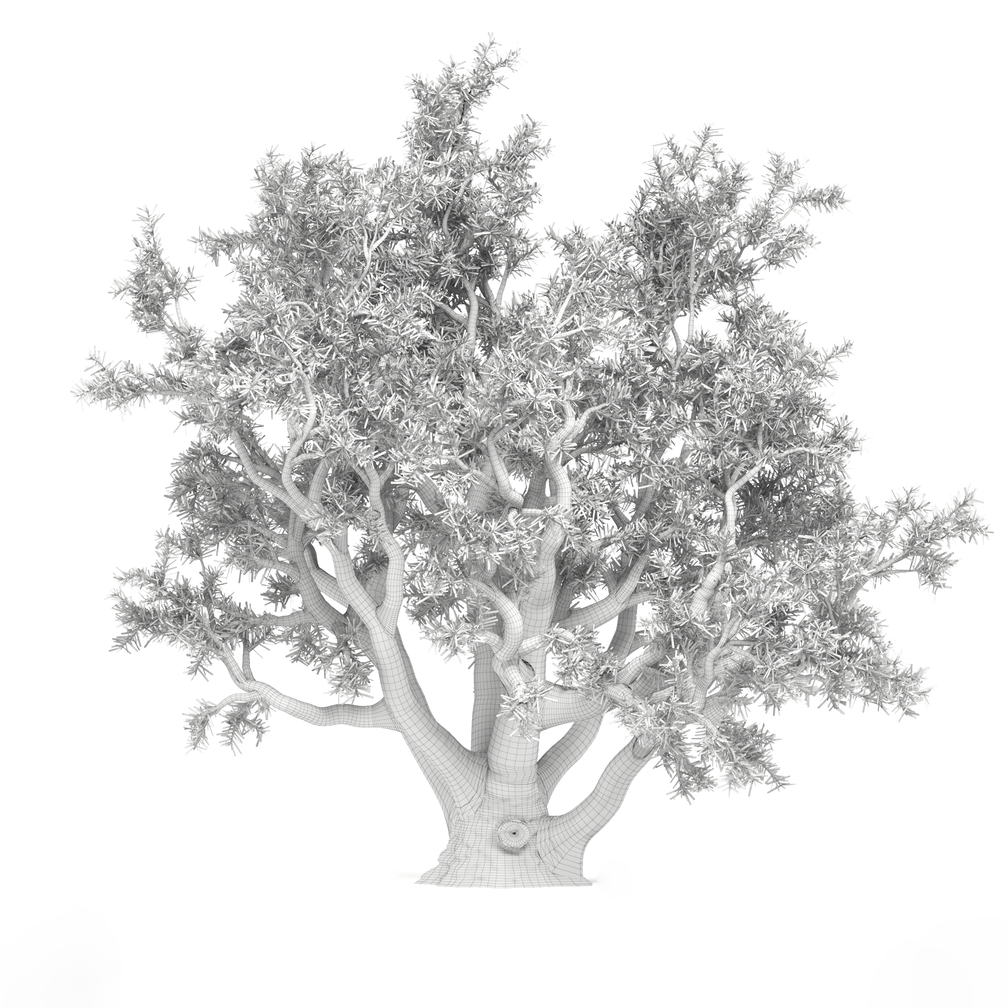 OBJ file OLD OLIVE TREE・3D printable model to download・Cults