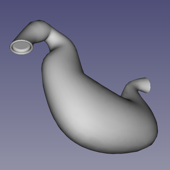 Free STL file Stomach as realistic as possible 💊・3D print design to ...