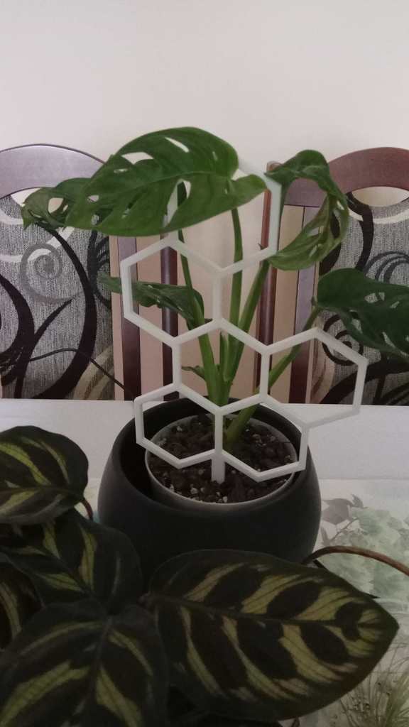 Free STL file flower support・3D printing template to download・Cults