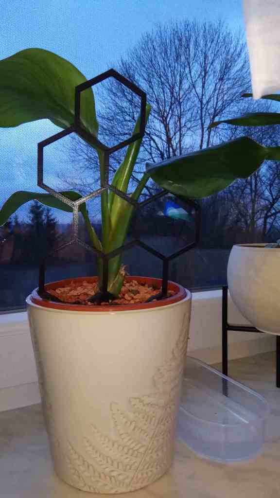 Free STL file flower support・3D printing template to download・Cults