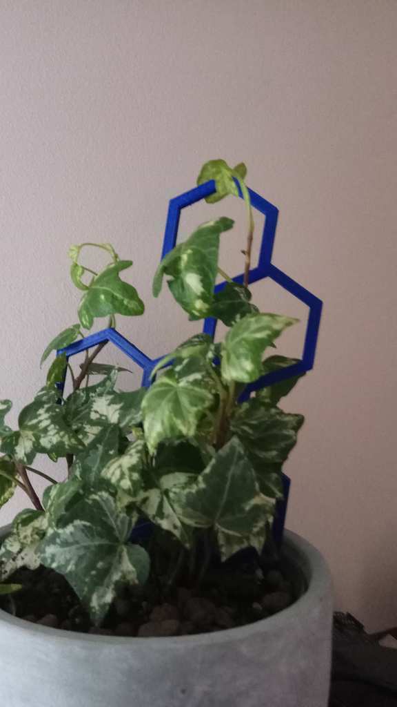 Free STL file flower support・3D printing template to download・Cults