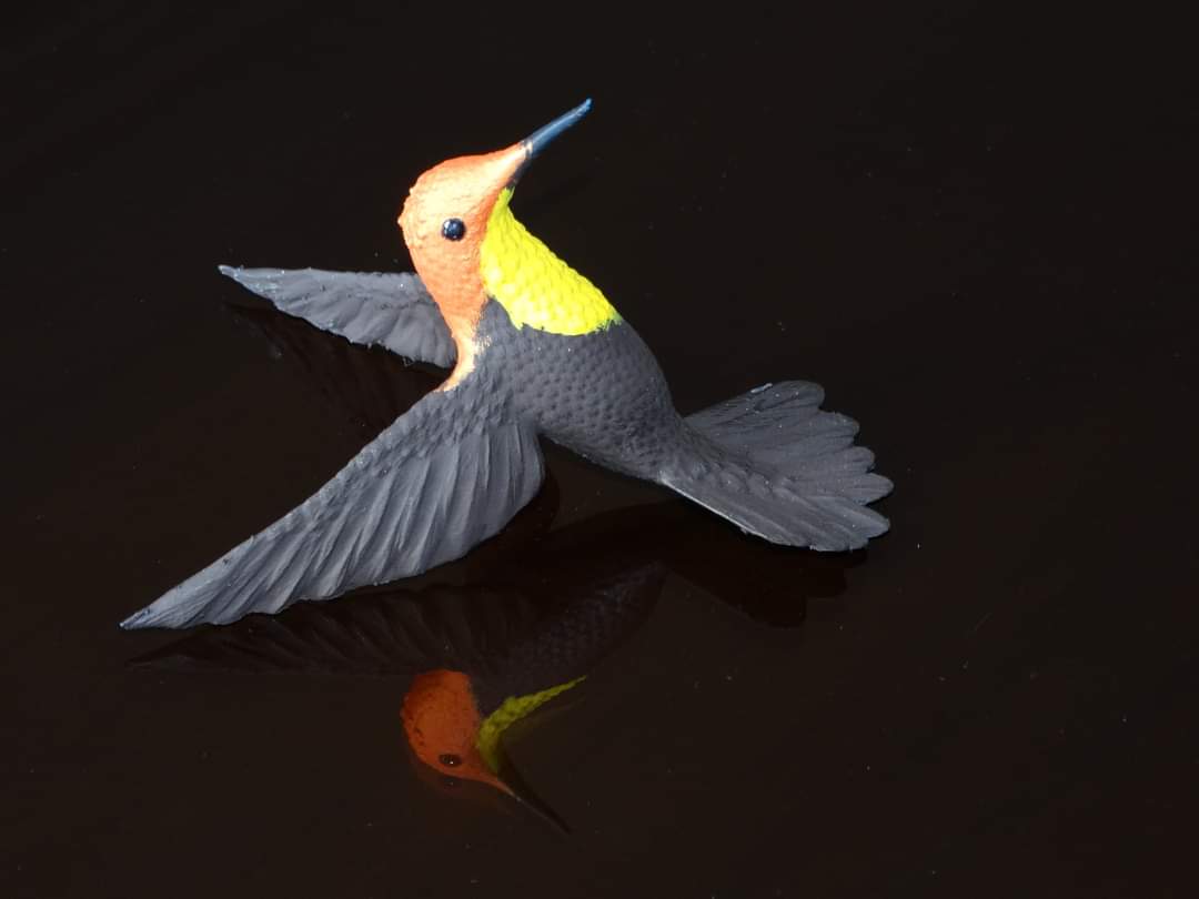 STL file Beautiful hummingbirds to hang and decorate 🎨・3D printable ...