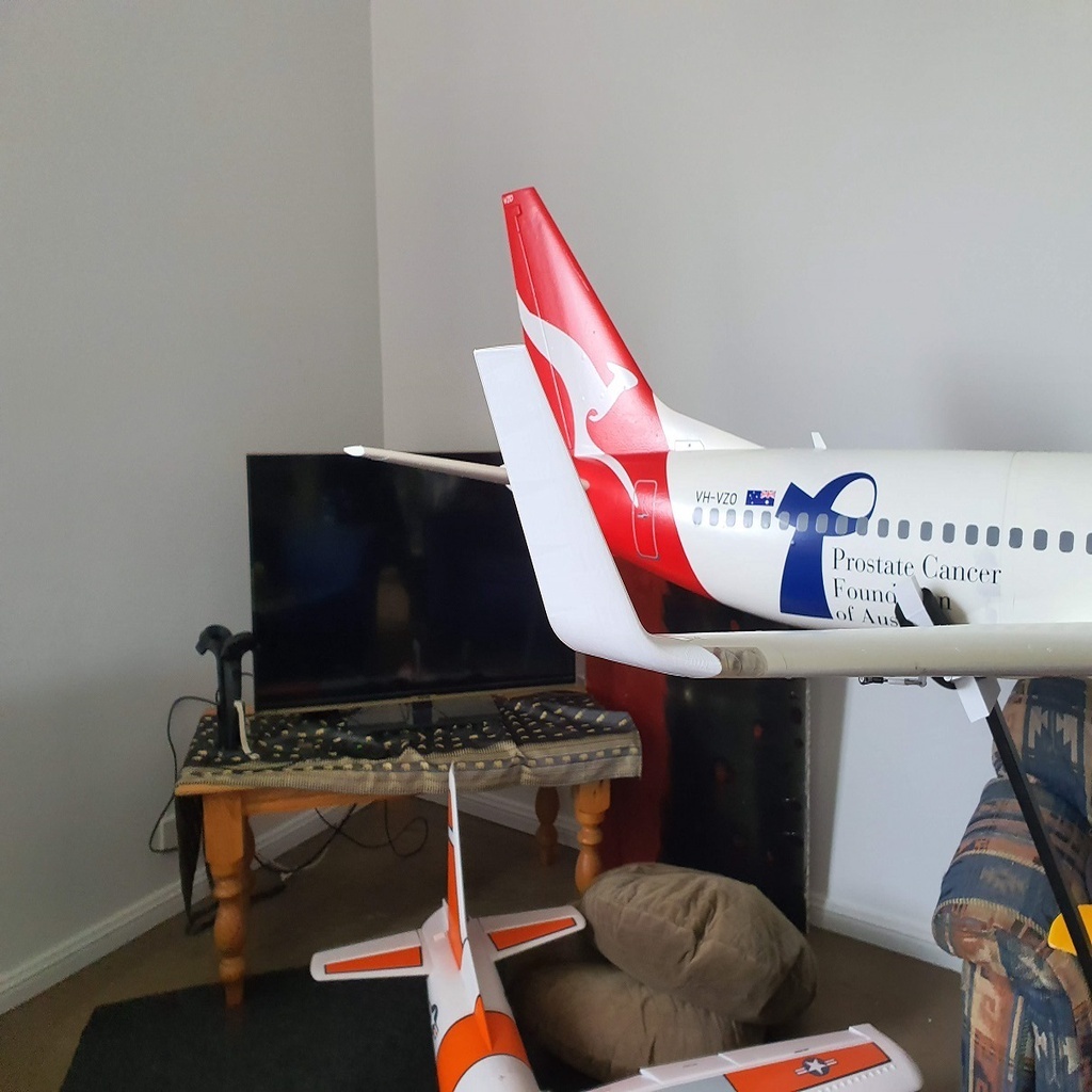 Descargar archivo 3D gratis Aleta Freewing AL37 737-800・Modelo para la ...