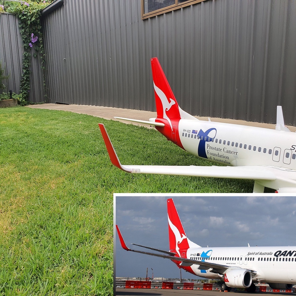 Fichier 3D gratuit Freewing AL37 737-800 winglet・Objet imprimable en 3D ...