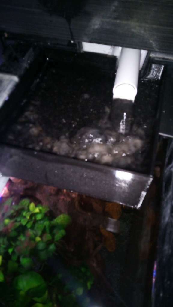 Free 3D file water diffuser with space for activated carbon 🚰・3D ...