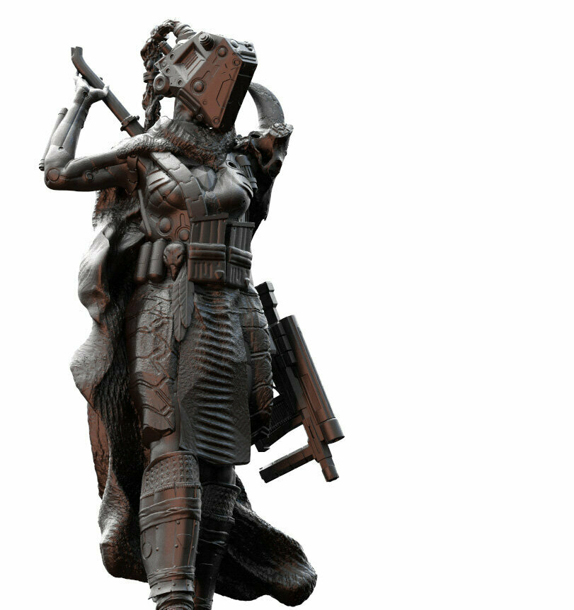 3D file Pilot Female- Senua・3D printer model to download・Cults