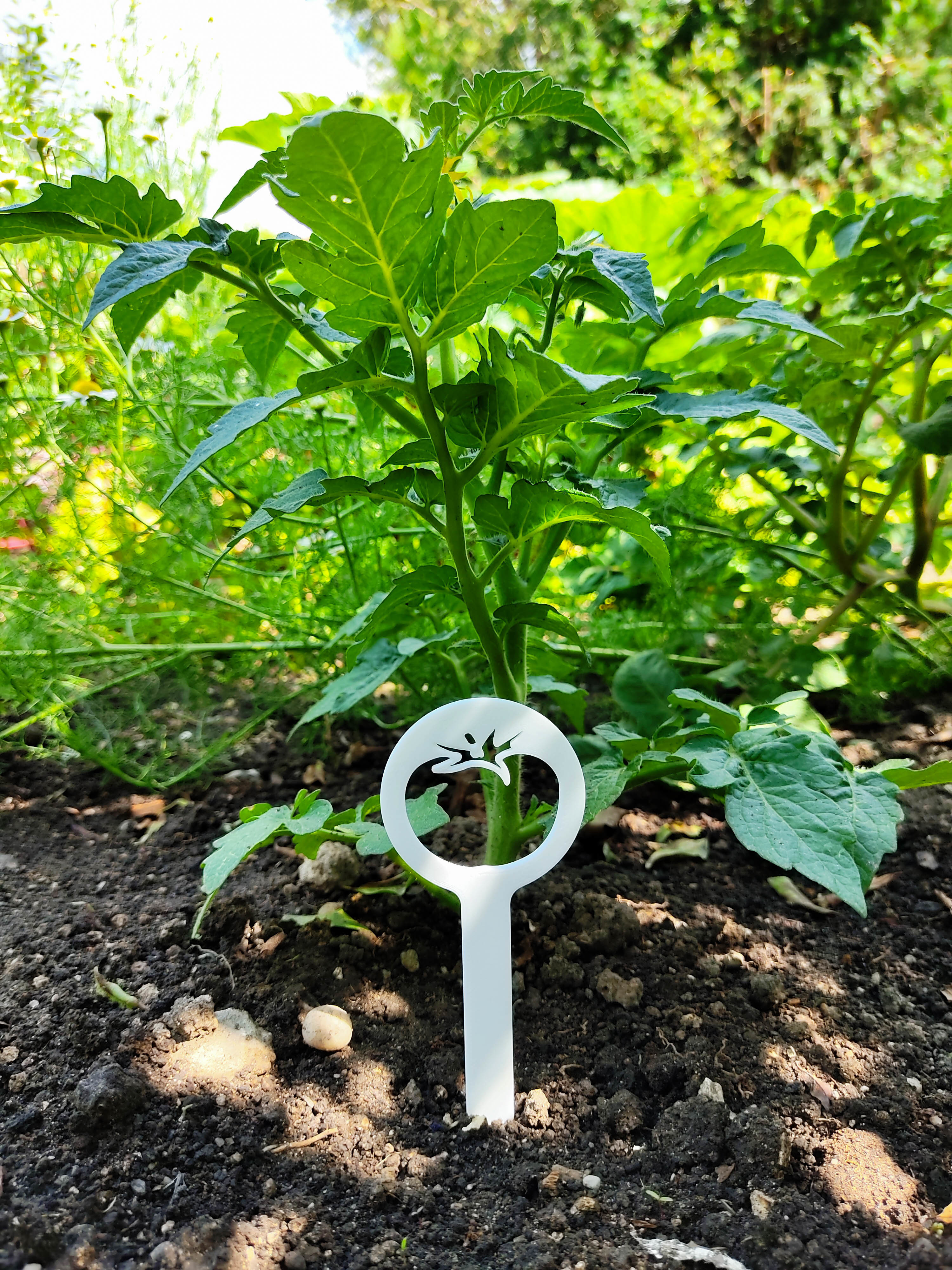 Download STL file Plant sign / label (vol.1) • Model to 3D print ・ Cults