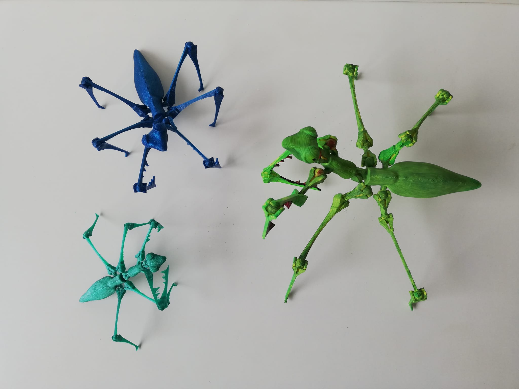 STL file PRAYING MANTIS 🙏・3D printable model to download・Cults