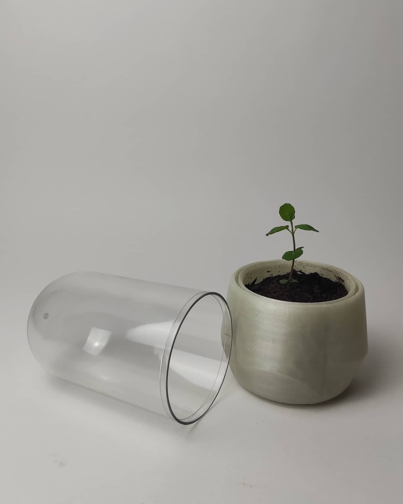 Free STL file Phosphorescent terrarium・Object to download and to 3D ...