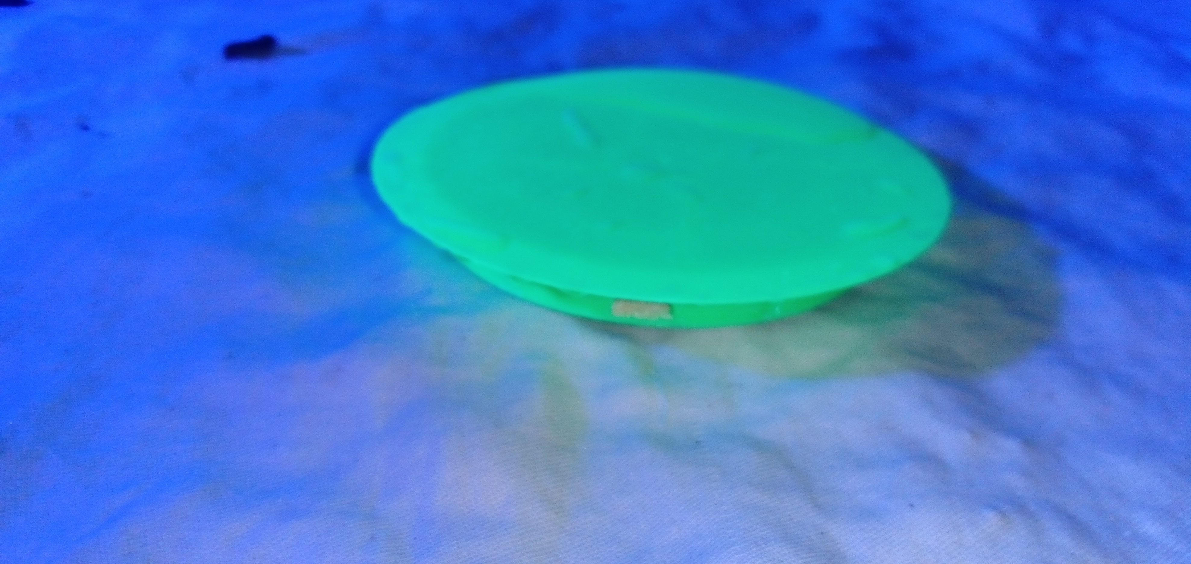 STL file Queen Ant Founding Trap・3D printable model to download・Cults