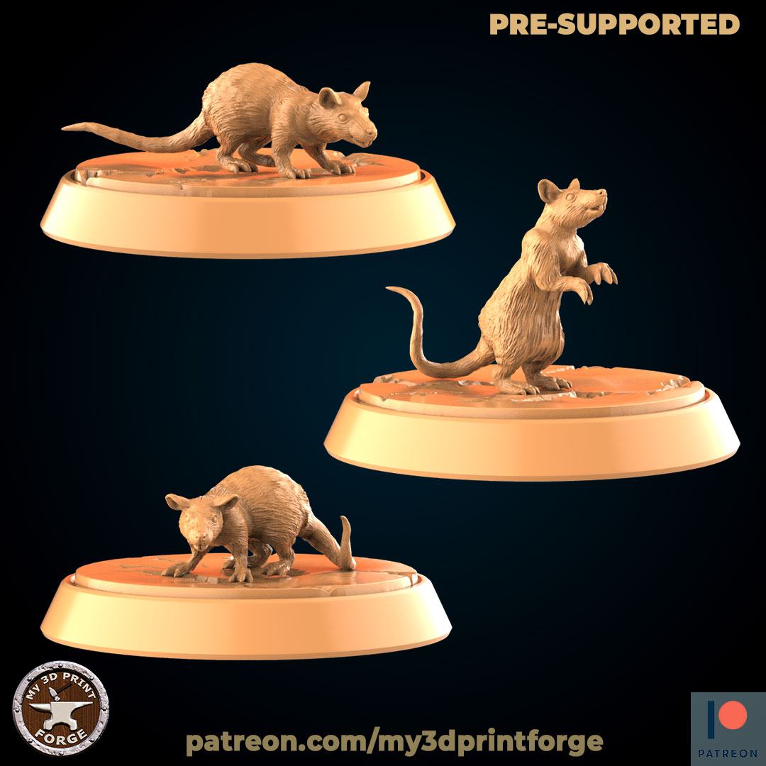 3D file Three rats・3D printing design to download・Cults