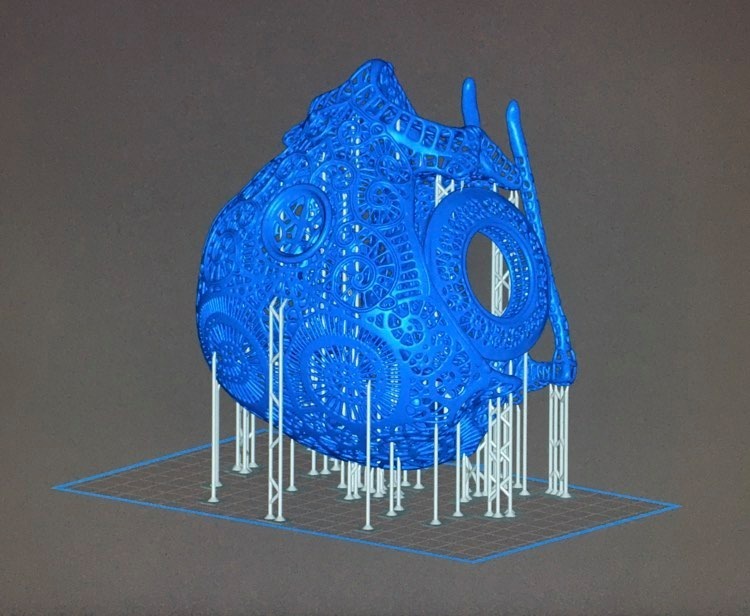 3D file Filigree Anatomical Raven Skull・3D printer model to download・Cults