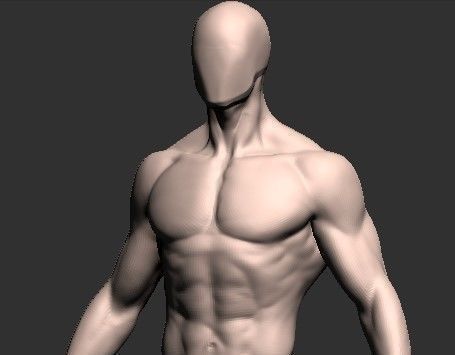 Archivo STL Anatomy Model・Diseño para descargar y imprimir en 3D・Cults