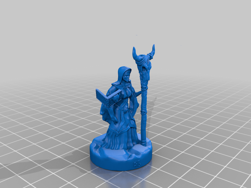 Free STL file Mage with Tome - 8 Staff Options - Support Free Mini 28mm ...