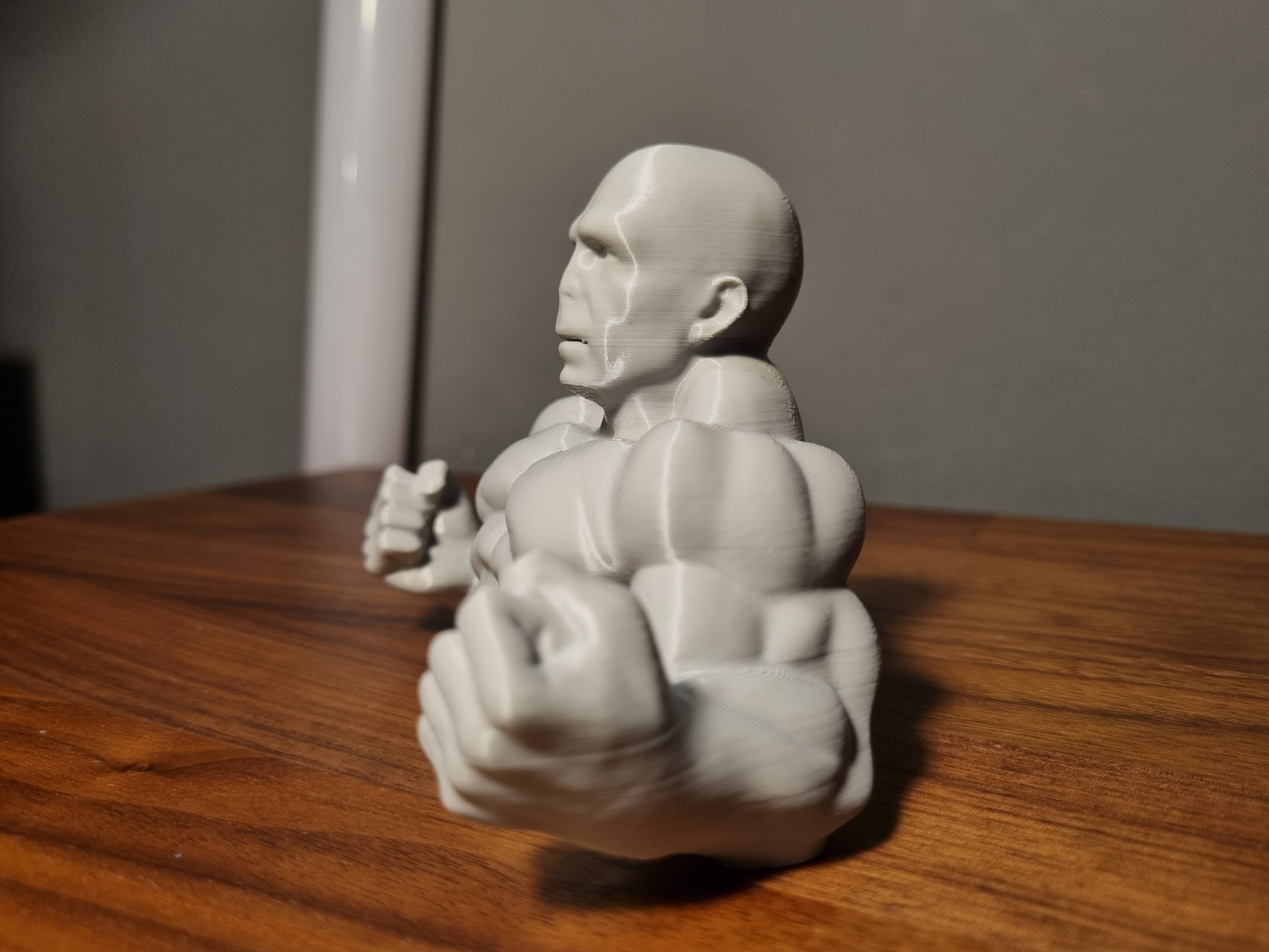 STL file Swoledemort - Buff Voldemort・3D printer design to download・Cults