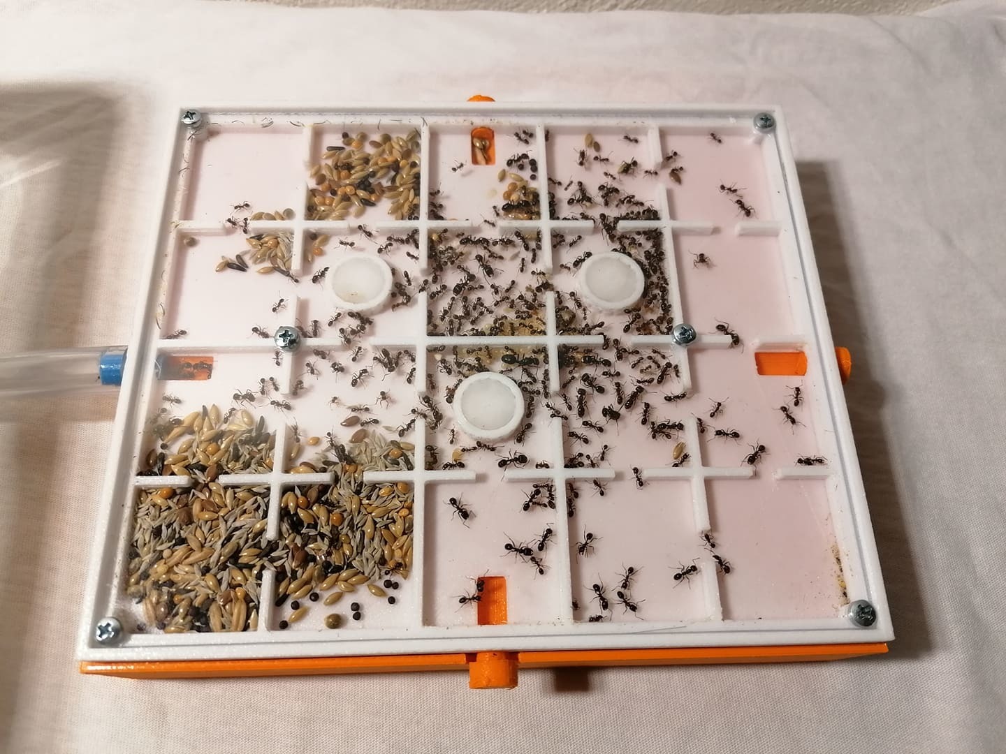 Archivo STL Formicarium 1.0・Diseño imprimible en 3D para descargar・Cults