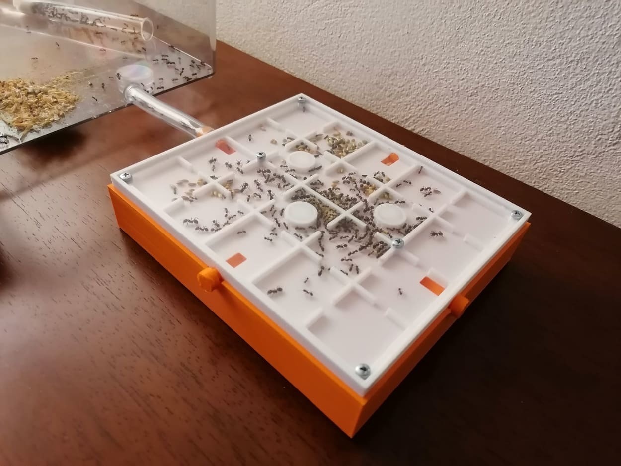 STL file Formicarium 1.0・3D printable model to download・Cults