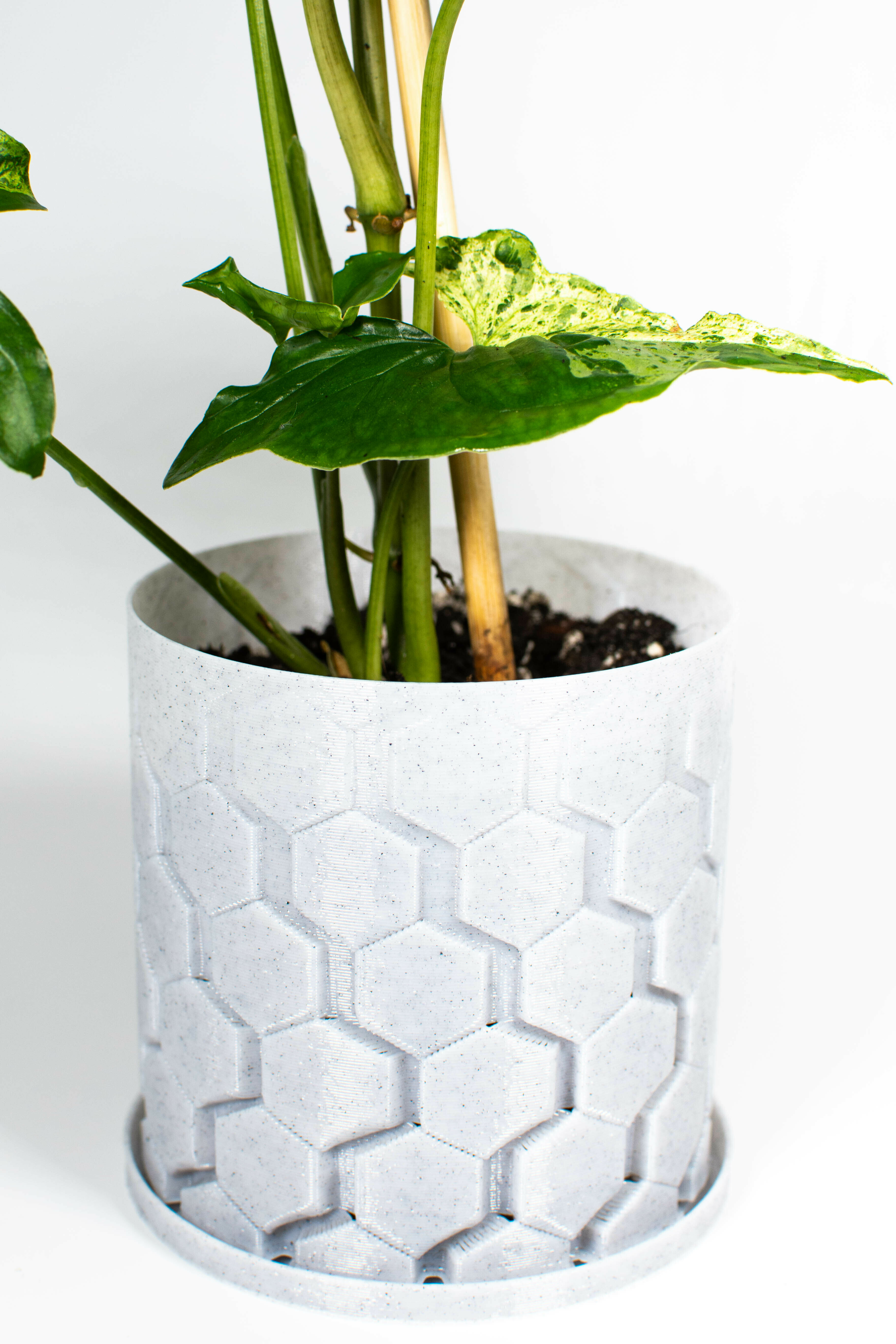 STL file Orquideorama Parametric Flower Pot Indoor/Outdoor Planter With ...