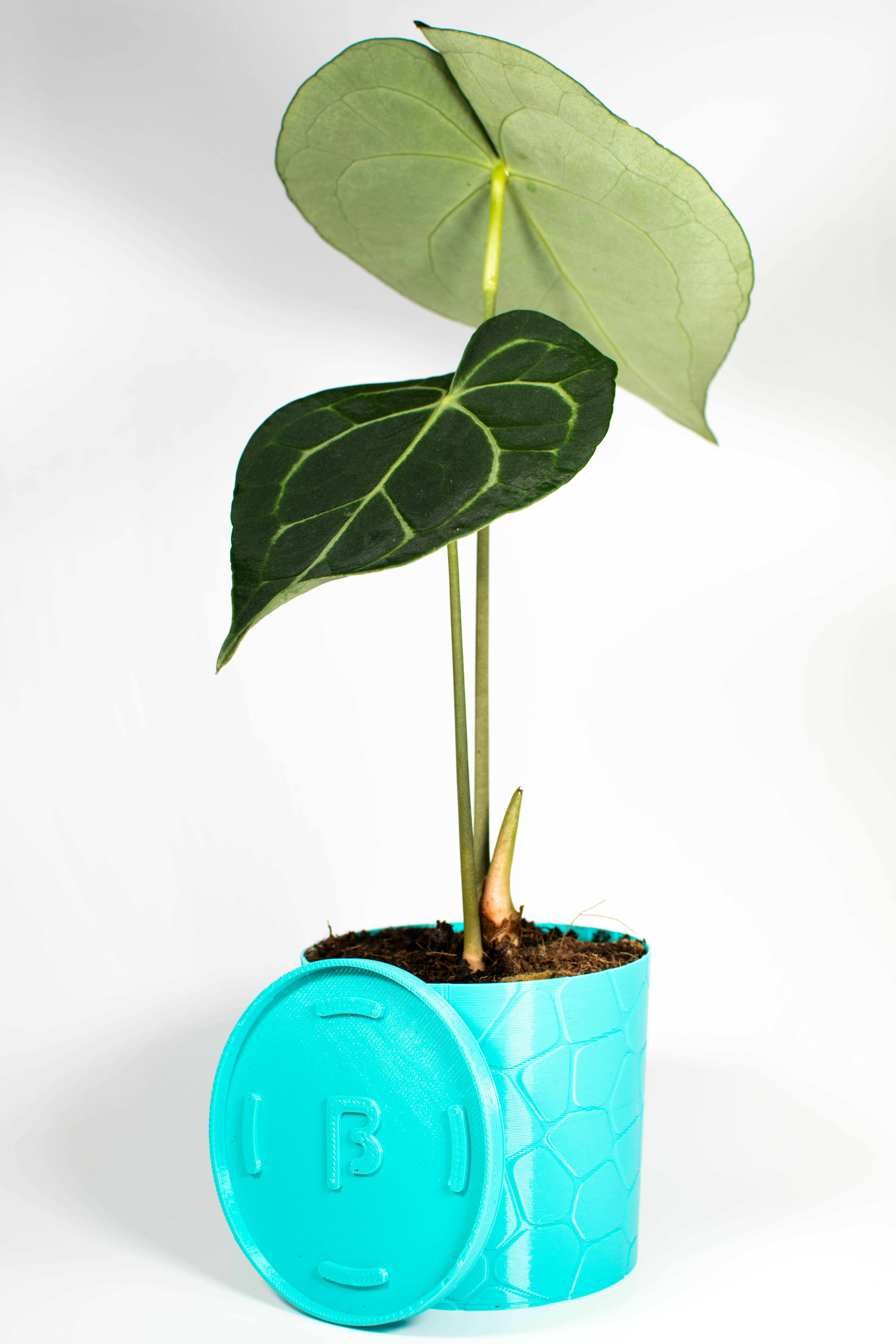 STL file Stone wall Parametric Flower Pot Indoor/Outdoor Planter With ...