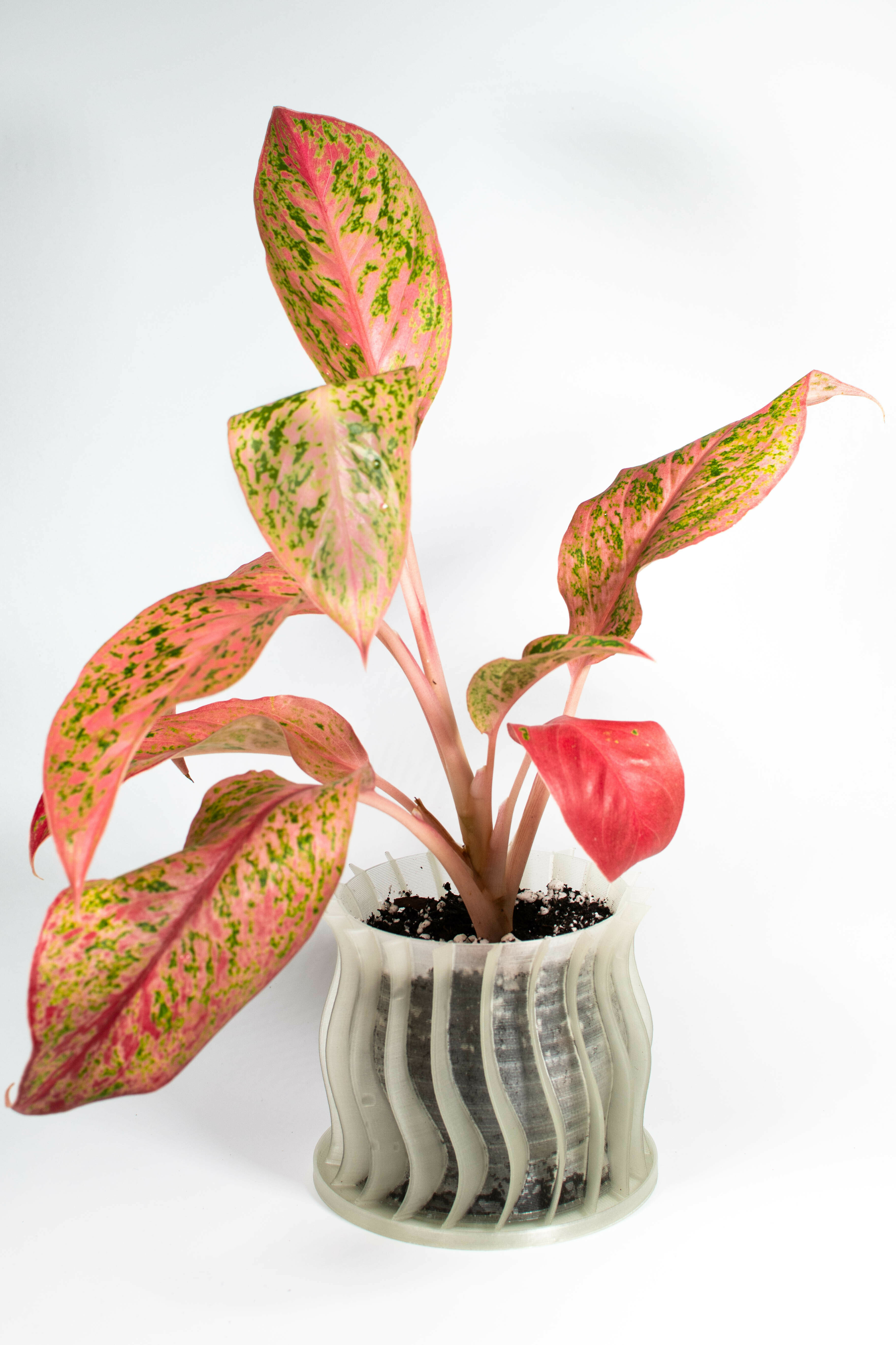 STL file Windmill Parametric Flower Pot Indoor/Outdoor Planter With ...