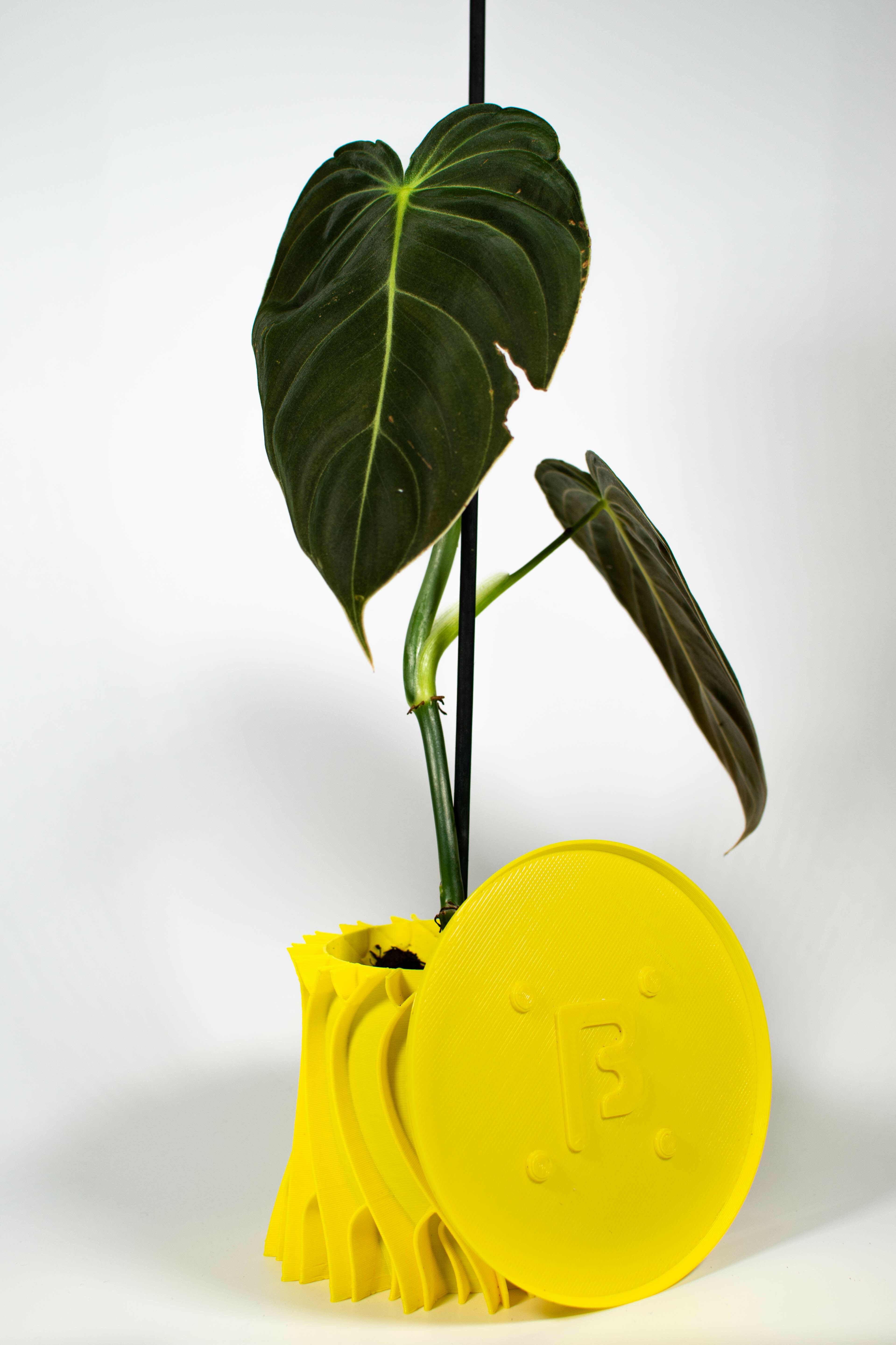 STL file Stronghold parametric flower pot・3D printable model to ...