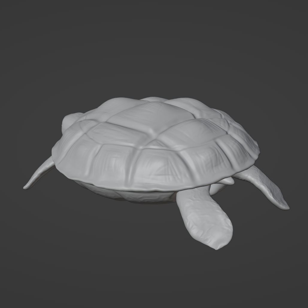 Free OBJ file Turtle・3D print model to download・Cults
