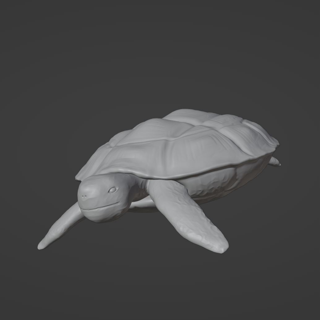 Free OBJ file Turtle・3D print model to download・Cults