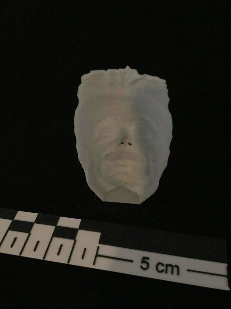 Rotating Mask Illusion