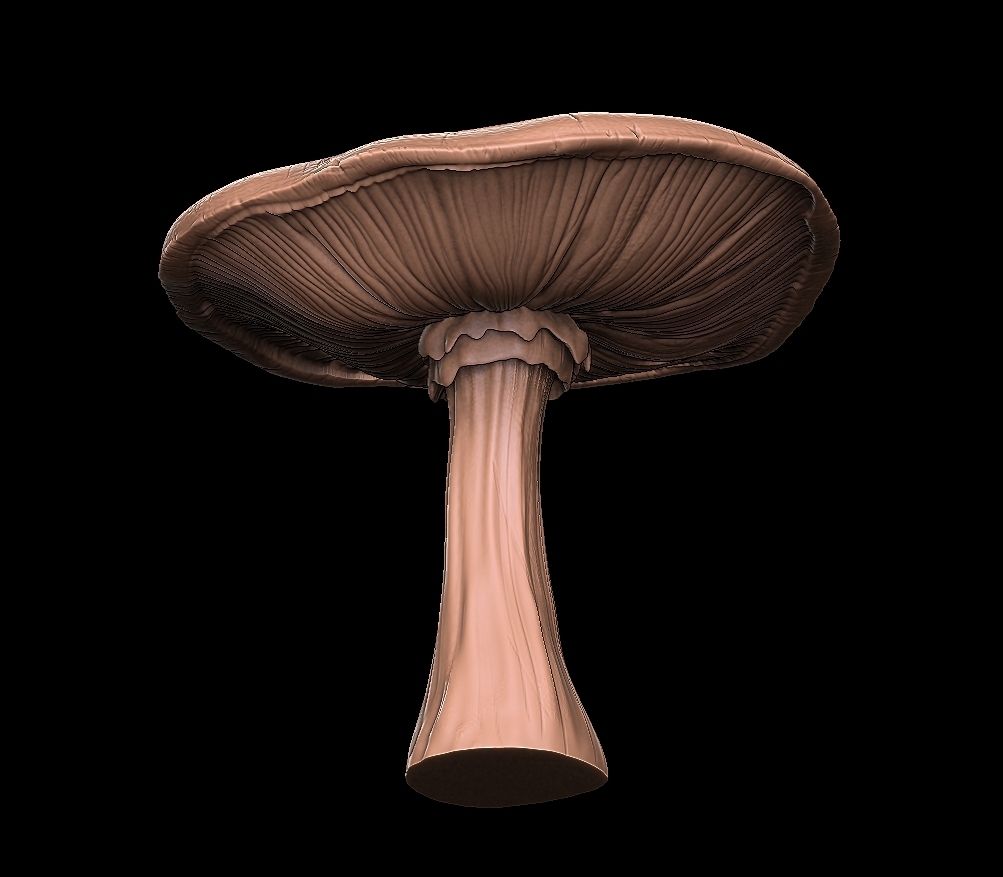 3D file Mushrooms 🎨・3D printing model to download・Cults