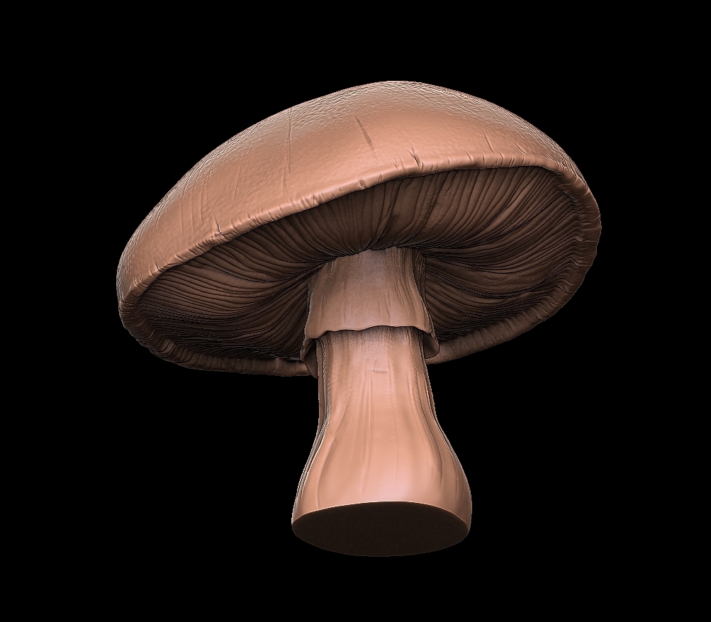 3D file Mushrooms 🎨・3D printing model to download・Cults