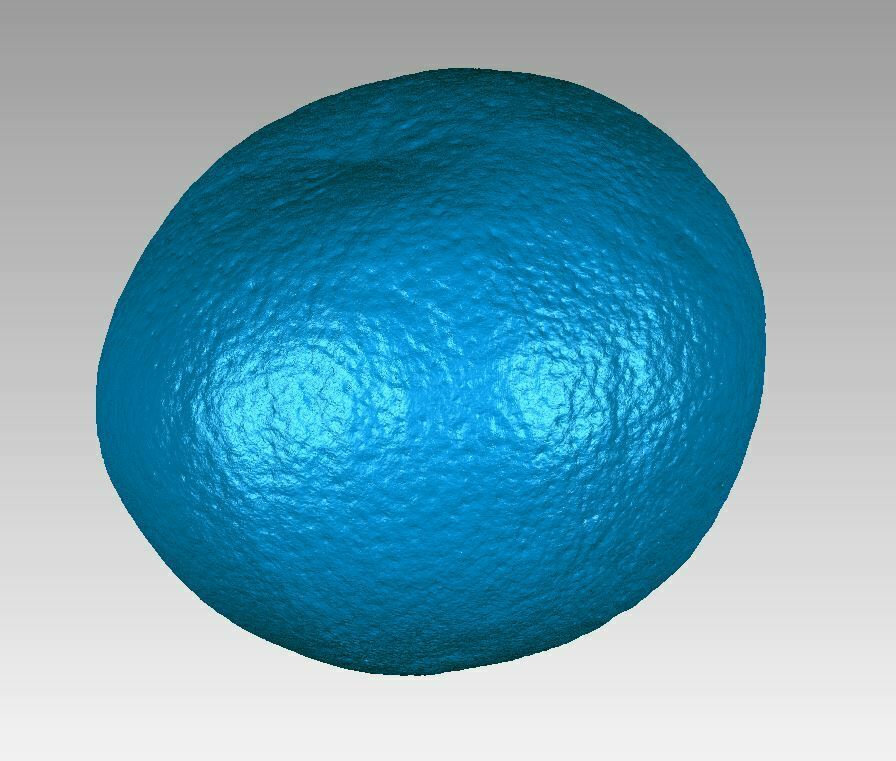 STL file Real Mandarin Orange Fruit High Detail 3D Scan・Model to ...