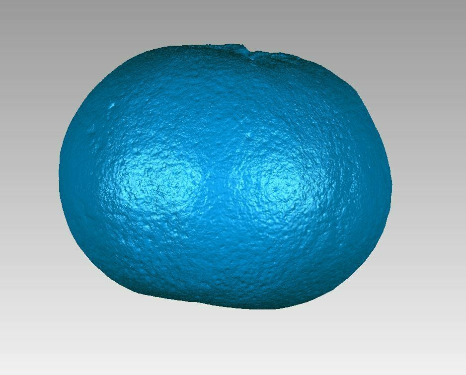 STL file Real Mandarin Orange Fruit High Detail 3D Scan・Model to ...