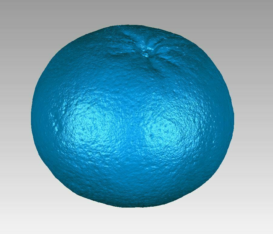 Fichier STL Véritable fruit de l'oranger mandarin Scan 3D à haut niveau ...