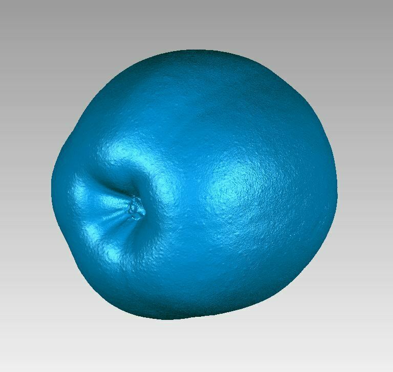 STL file Real Apple Fruit High Detail 3D Scan・3D print object to ...