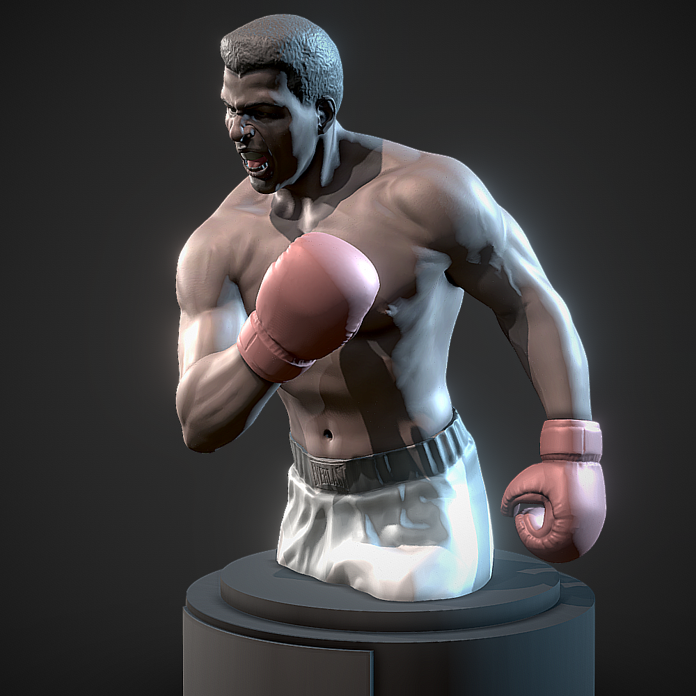 OBJ file ALI・3D printable model to download・Cults