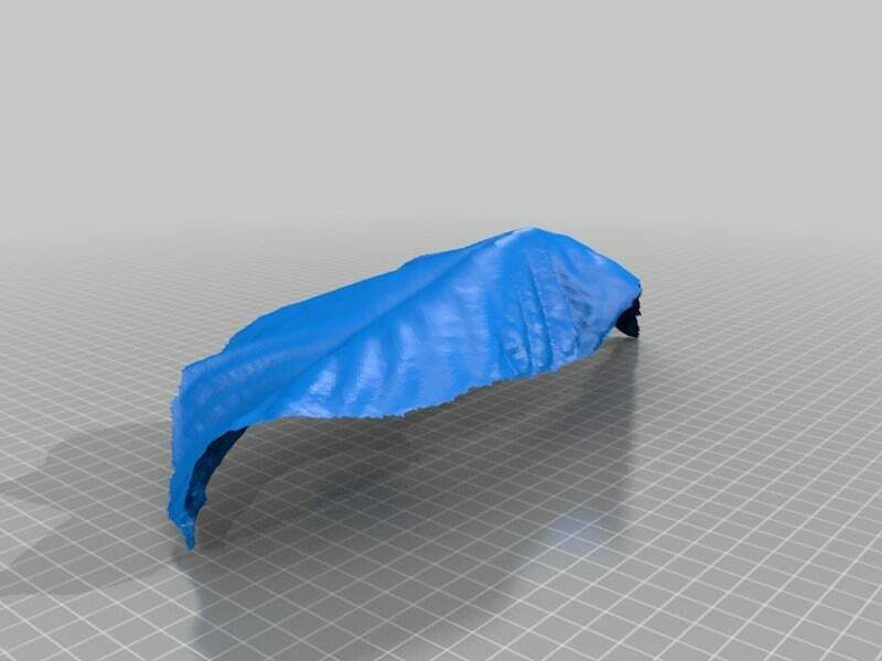 Free STL file Leaf・3D print design to download・Cults
