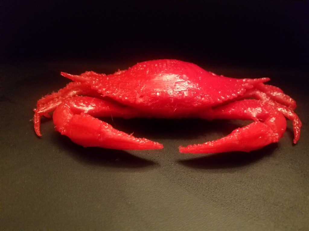 Free 3D file Maryland Blue Crab・3D print design to download・Cults