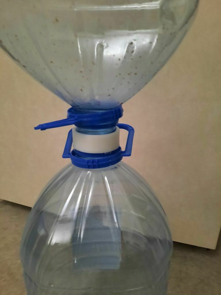 Free 3D file 5L plastic bottle coupler. 3 entry thread with 9mm pitch (3mm between each line)・3D ...