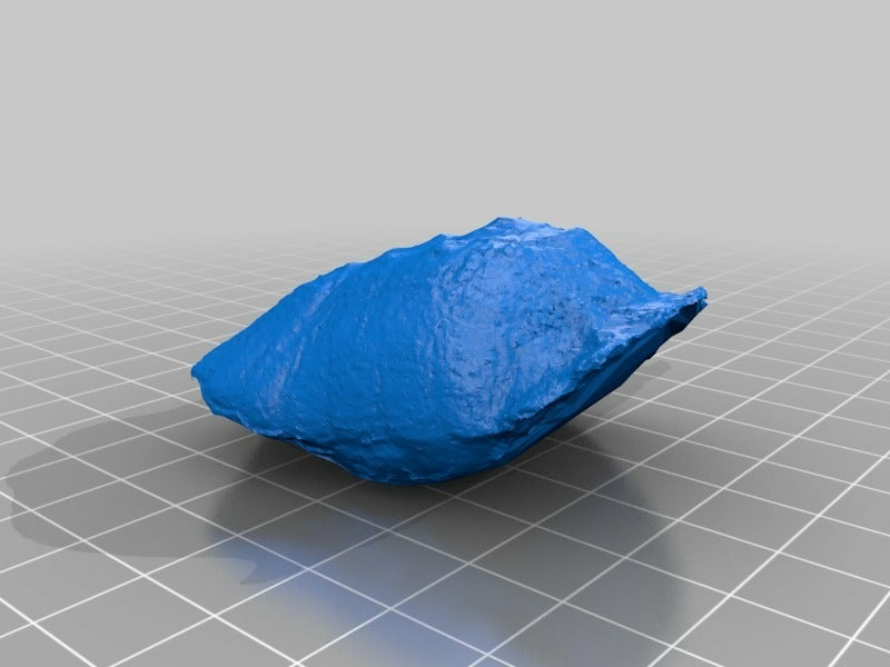 STL-Datei Sulcata tortoise shell kostenlos・3D-druckbare Vorlage zum ...