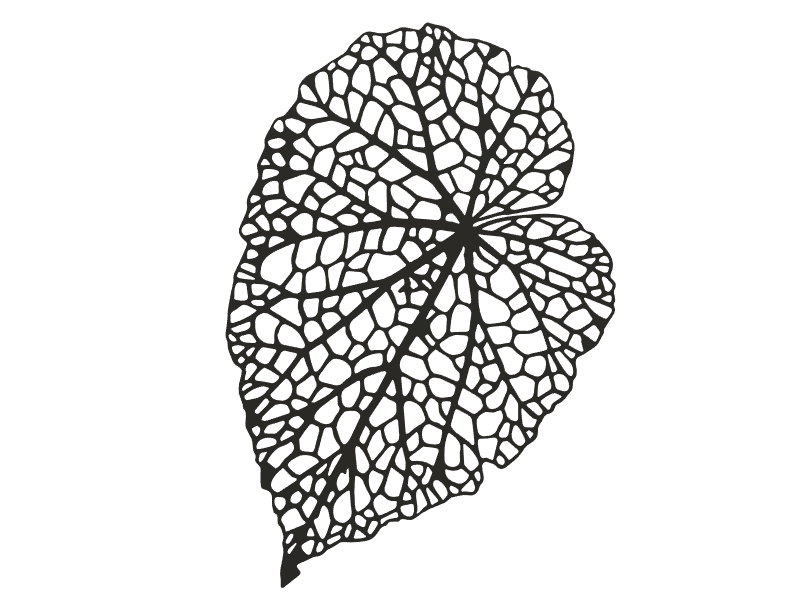 Free 3D file Leaf・3D print design to download・Cults