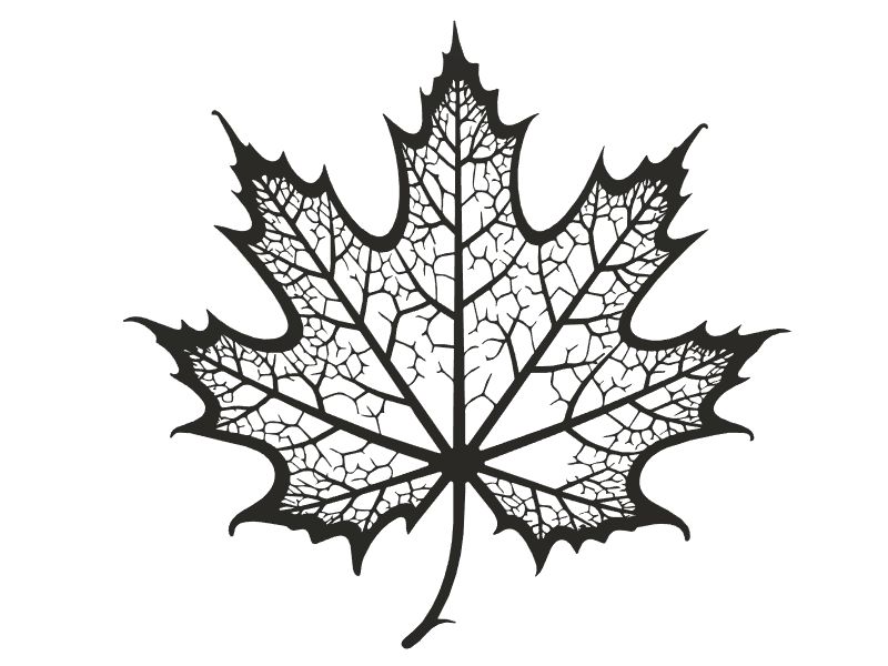 Free 3D file Maple Leaf 🍁・3D printer model to download・Cults