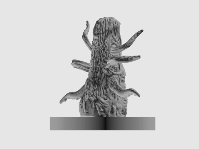 Free 3D file Roper token・3D printer design to download・Cults