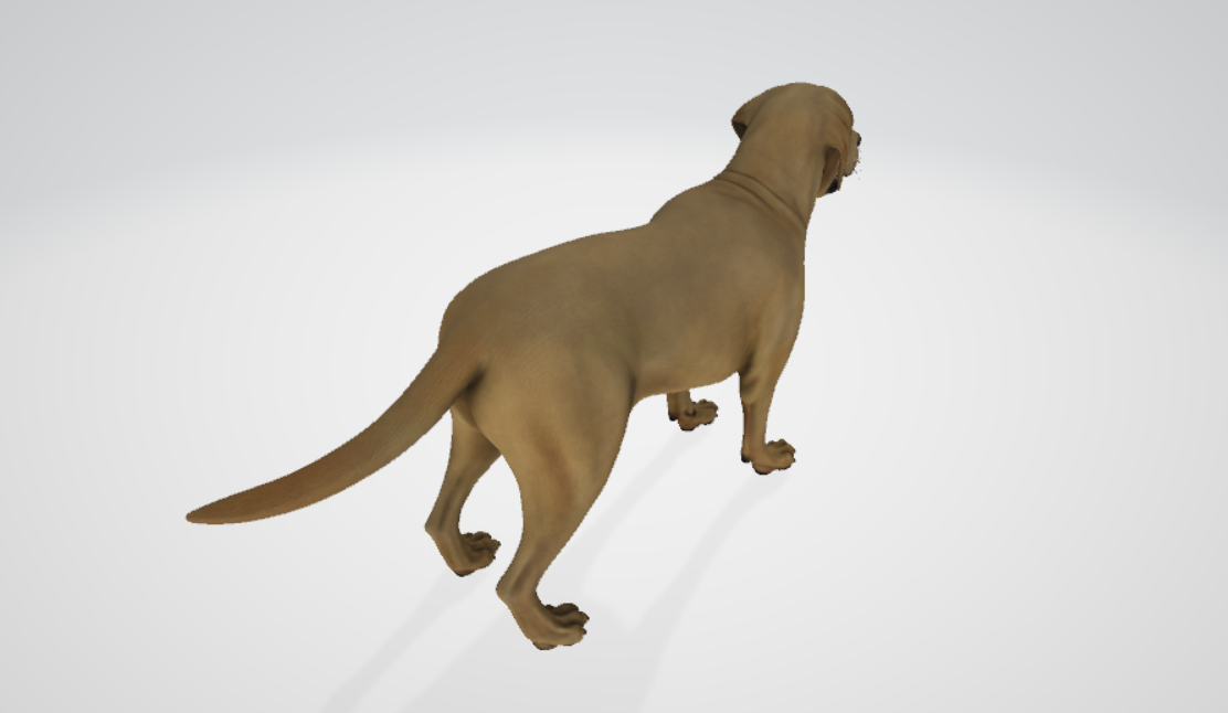 STL file Golden Retriever - Dog - Labrador - Labrador- Dog 🐕・3D print ...