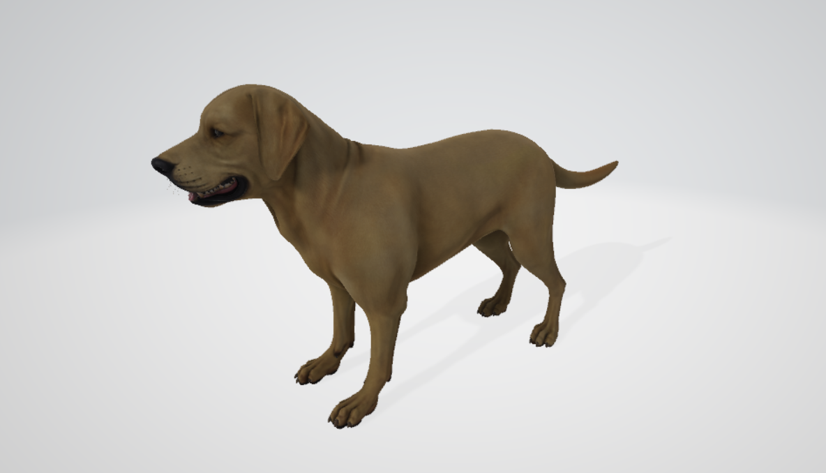 STL file Golden Retriever - Dog - Labrador - Labrador- Dog 🐕・3D print ...