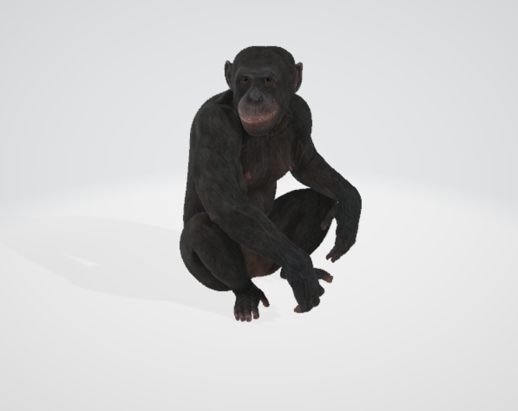Файл STL Monkey model - Monkey・Шаблон для 3D-печати для загрузки・Cults