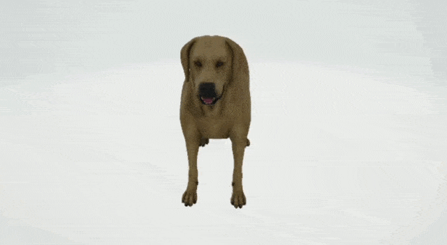 STL file Golden Retriever - Dog - Labrador - Labrador- Dog 🐕・3D print ...