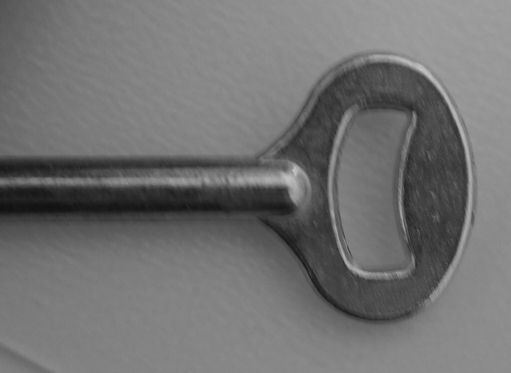 Free 3D file ALBA Key Cover 🔑・3D printing template to download・Cults