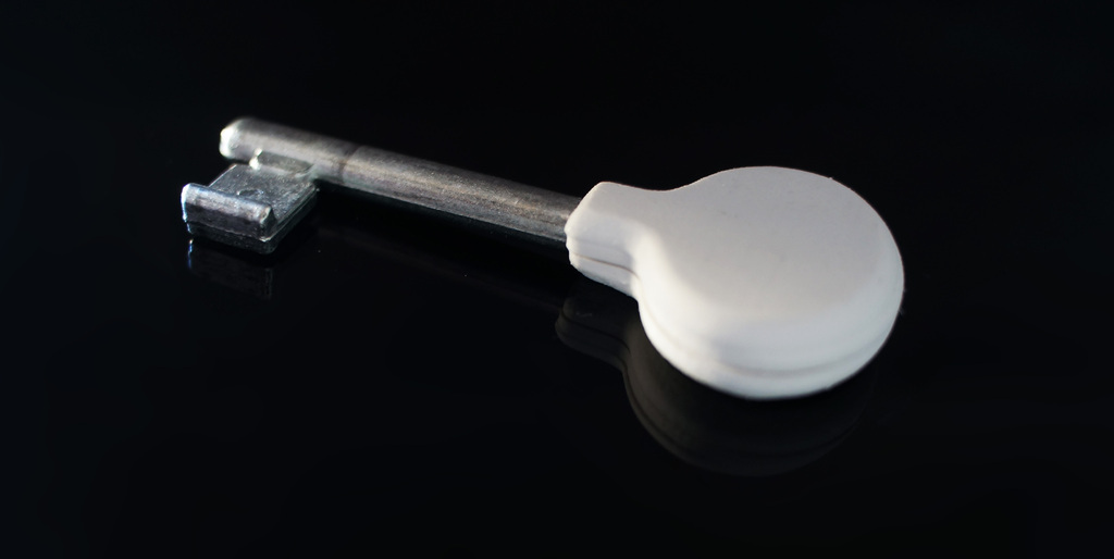 Free 3D file ALBA Key Cover 🔑・3D printing template to download・Cults